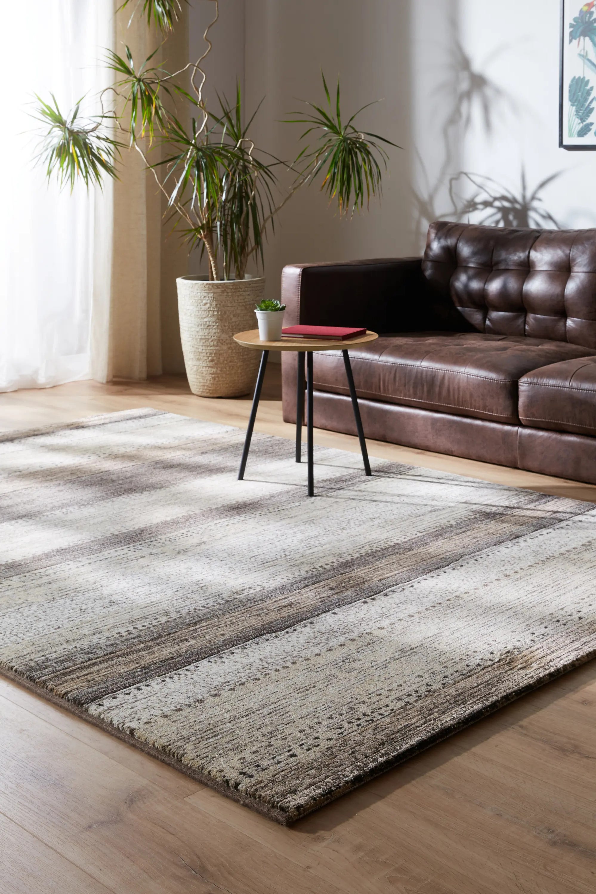 High-Quality Rugs in NZ - Auckland's Leading Rug Store | Rugs Direct